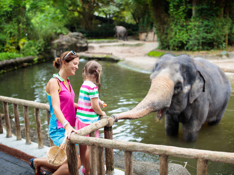 Fun at Edmonton Valley Zoo | Wingate by Wyndham Edmonton West